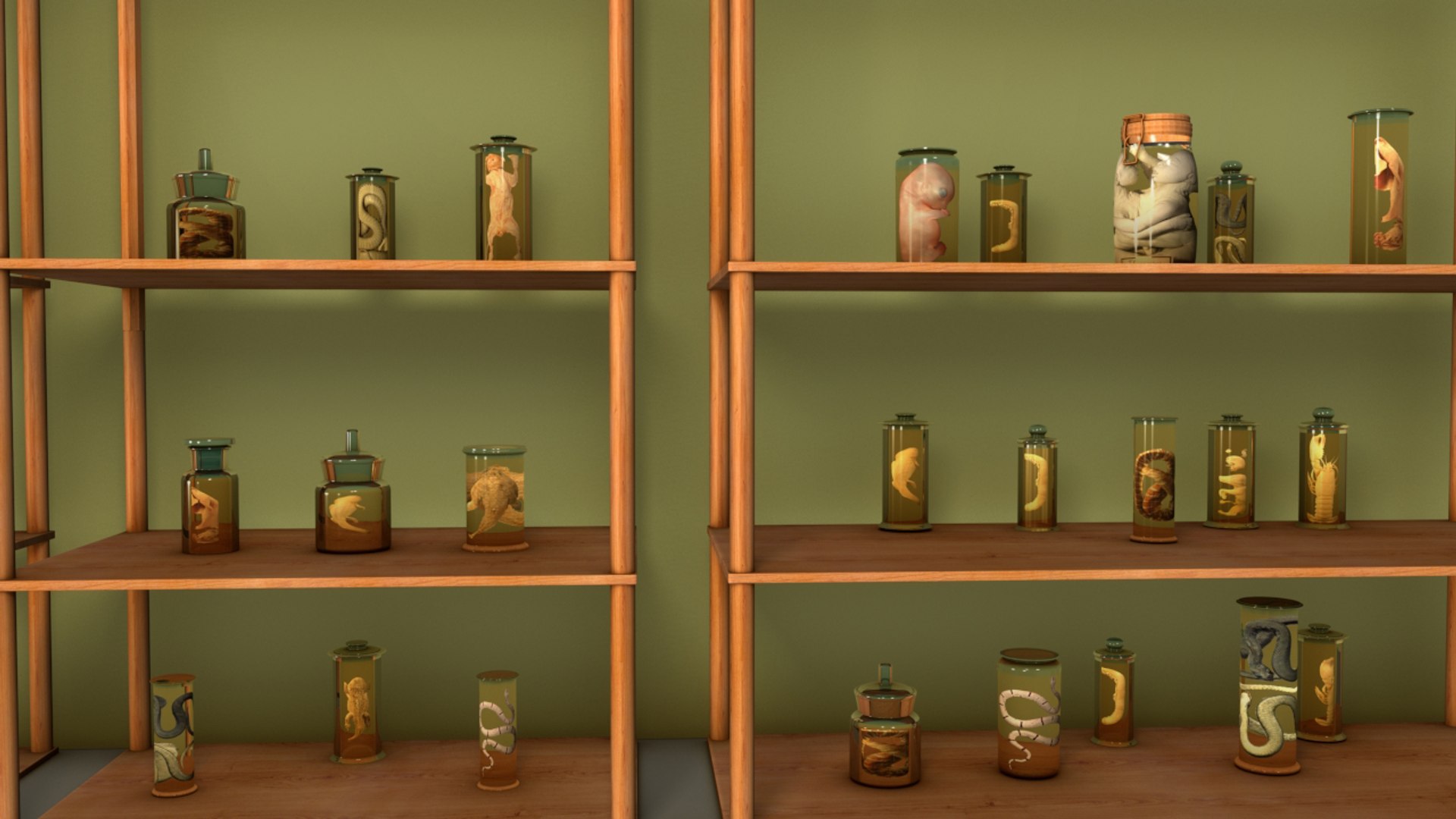 Science Lab 3d Model