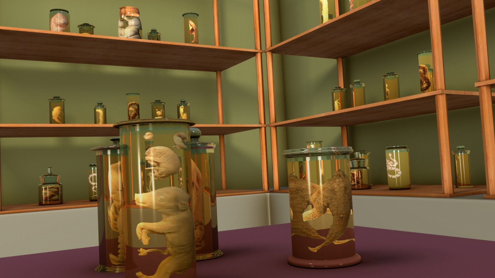 Science Lab 3d Model