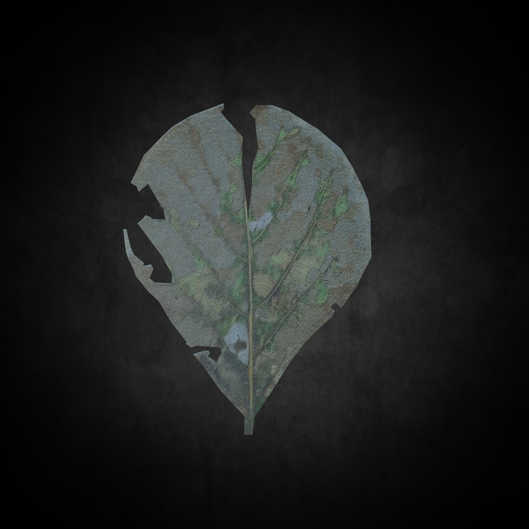 3D Low Poly Leaf 043 - TurboSquid 1852400