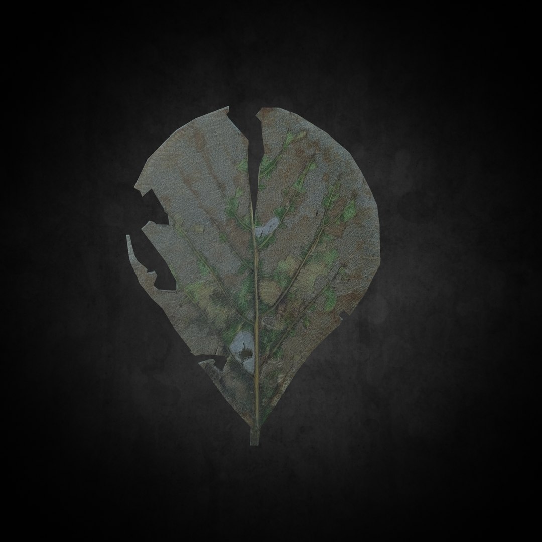 3D Low Poly Leaf 043 - TurboSquid 1852400