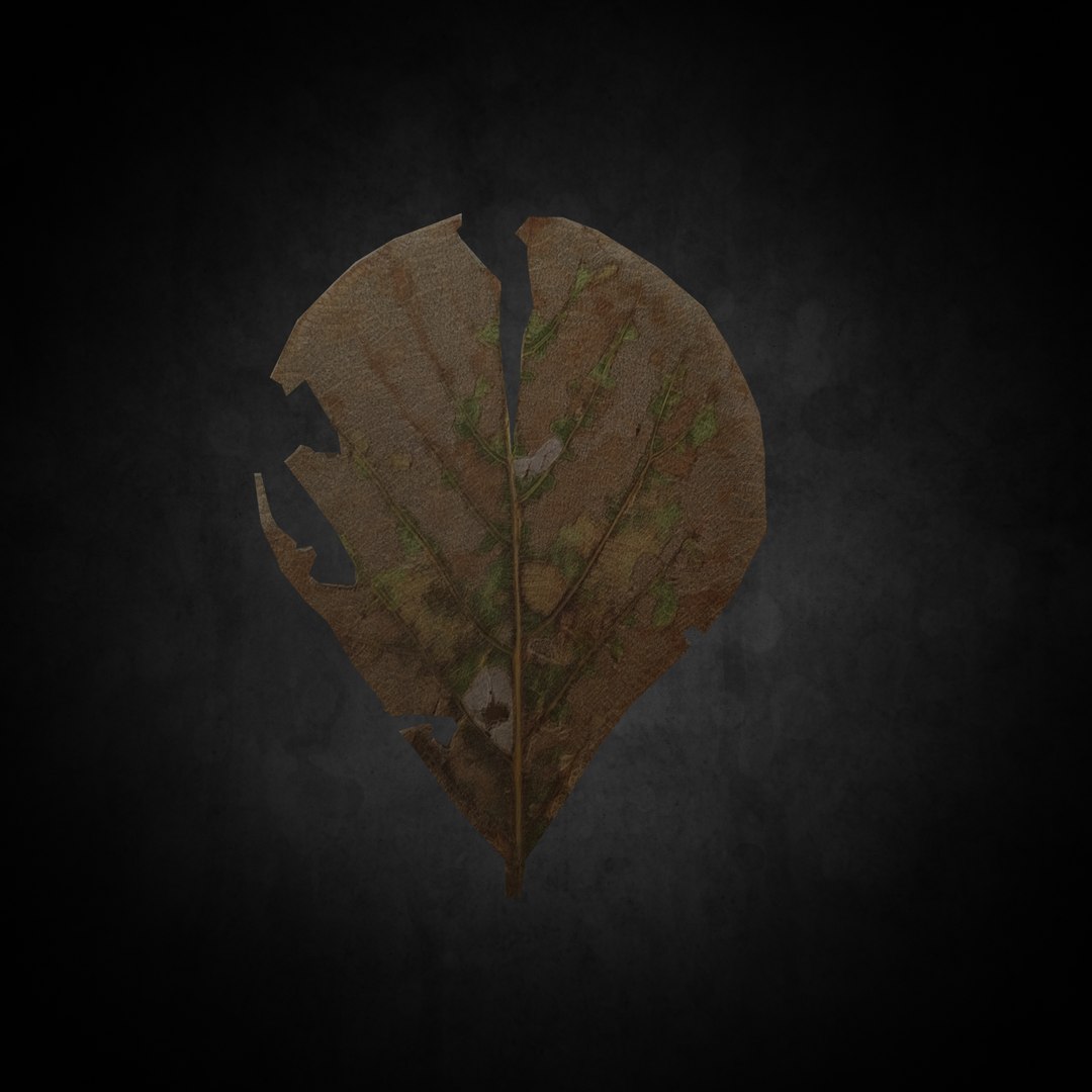 3D Low Poly Leaf 043 - TurboSquid 1852400