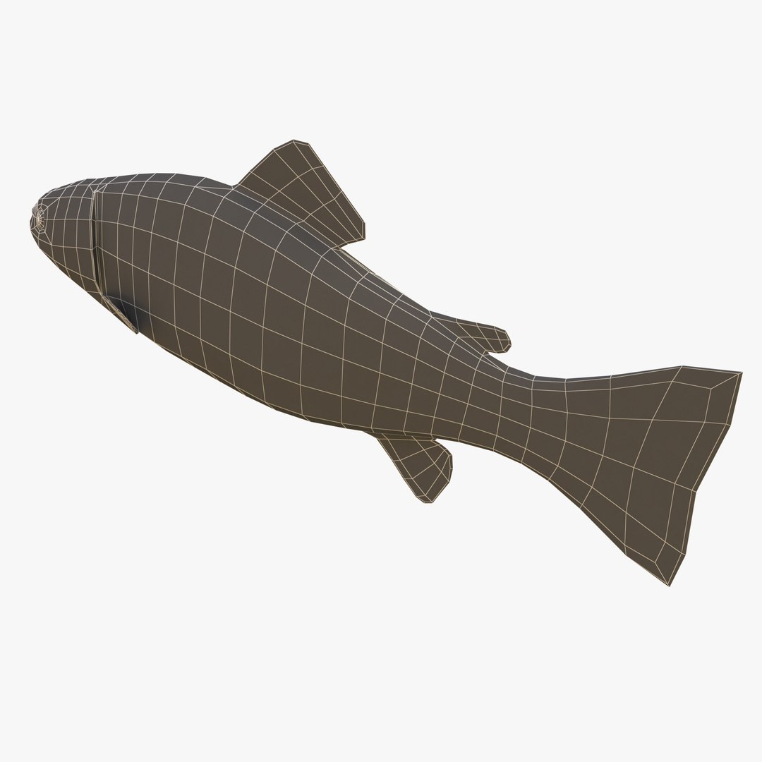 3d trout