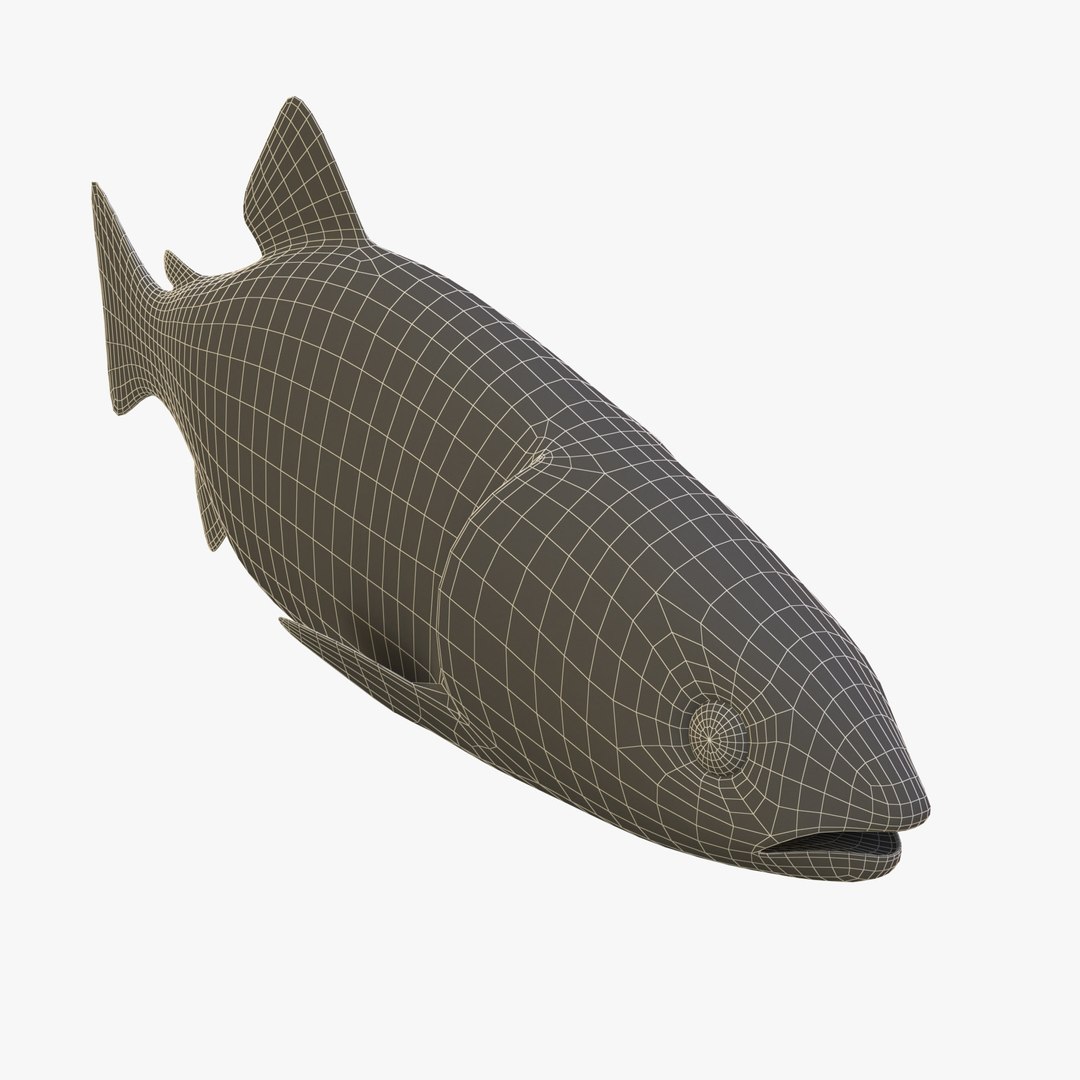 3d Trout