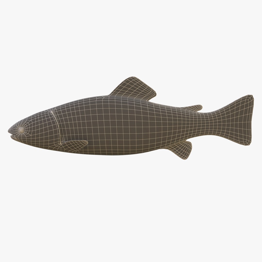 3d trout
