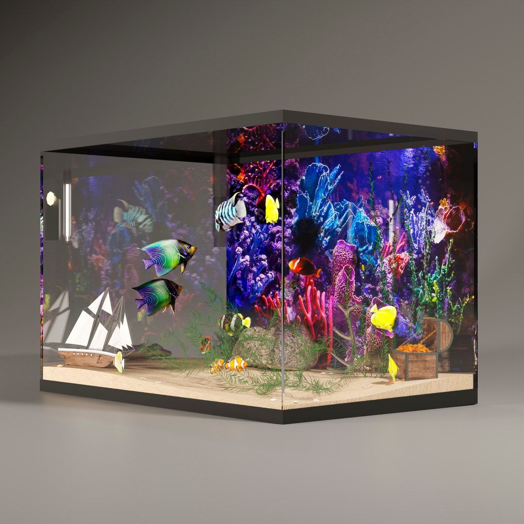 3D Model Aquarium - TurboSquid 1856132