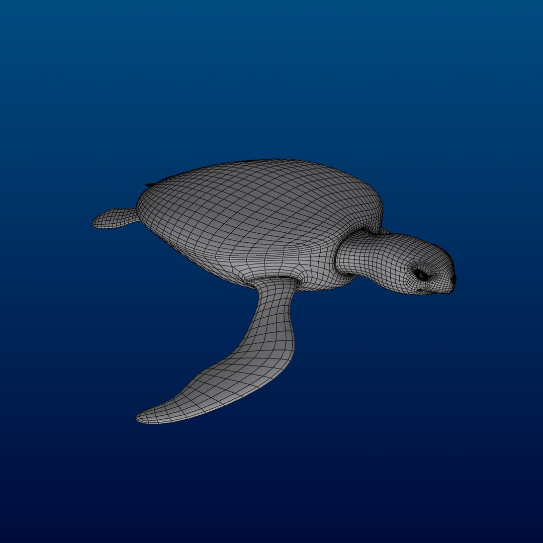 3d turtle rigged normal