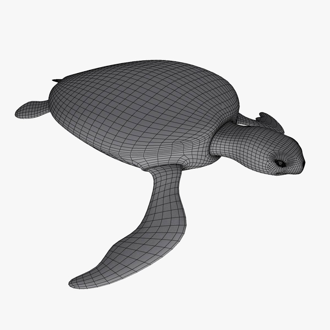 3d turtle rigged normal