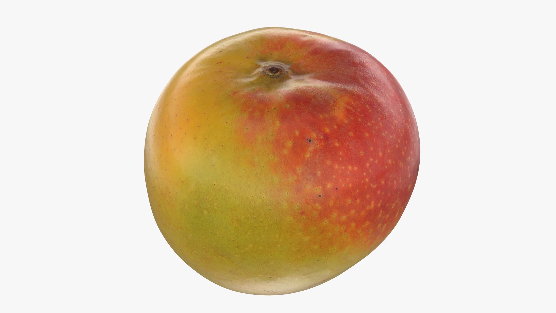 3D Mango 01 Collection 4 - TurboSquid 2471734