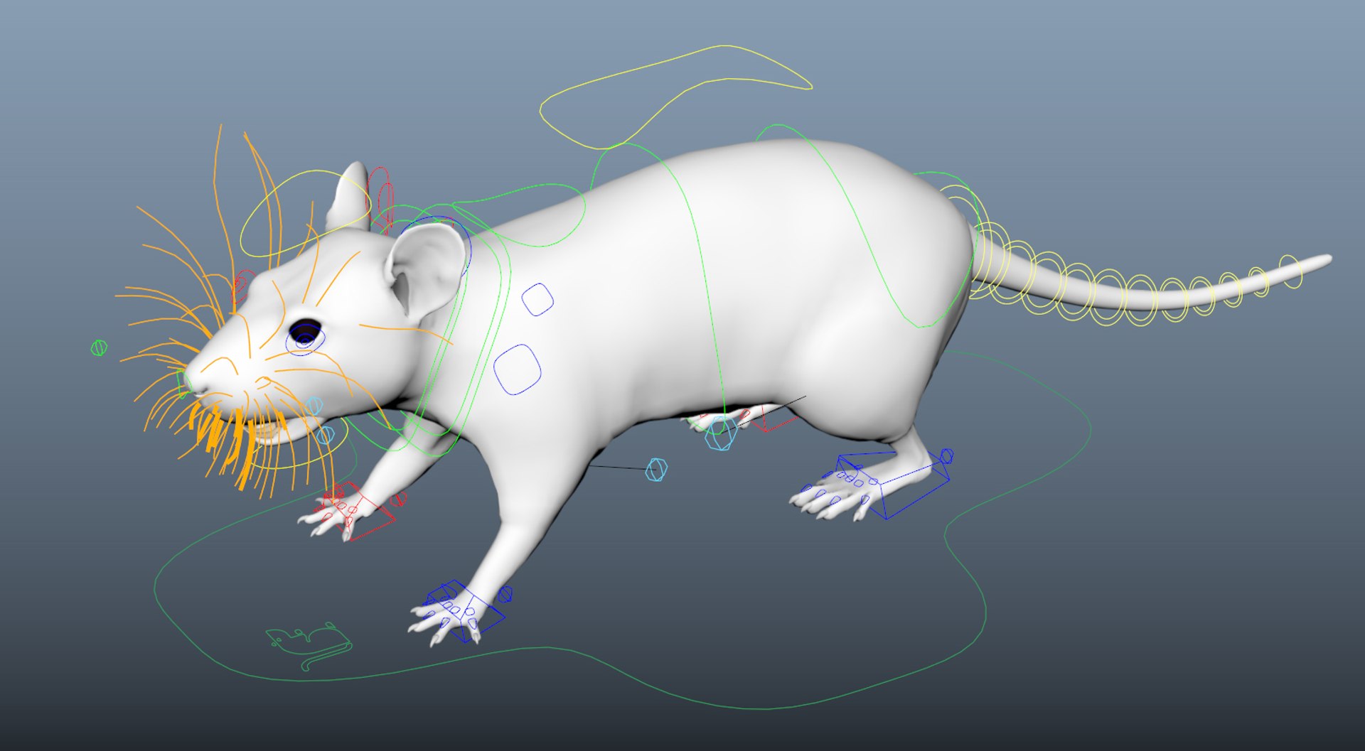 3D Rat Fur Animations - TurboSquid 1632434