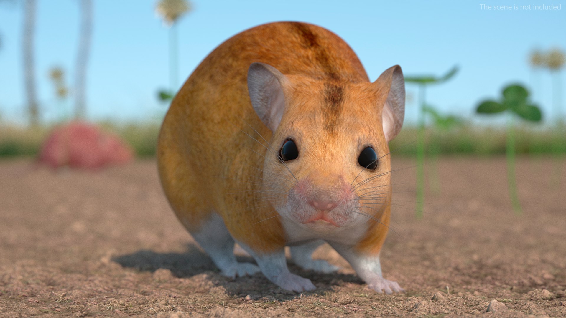 Calabyi Mouse Rigged 3D Model - TurboSquid 2197016