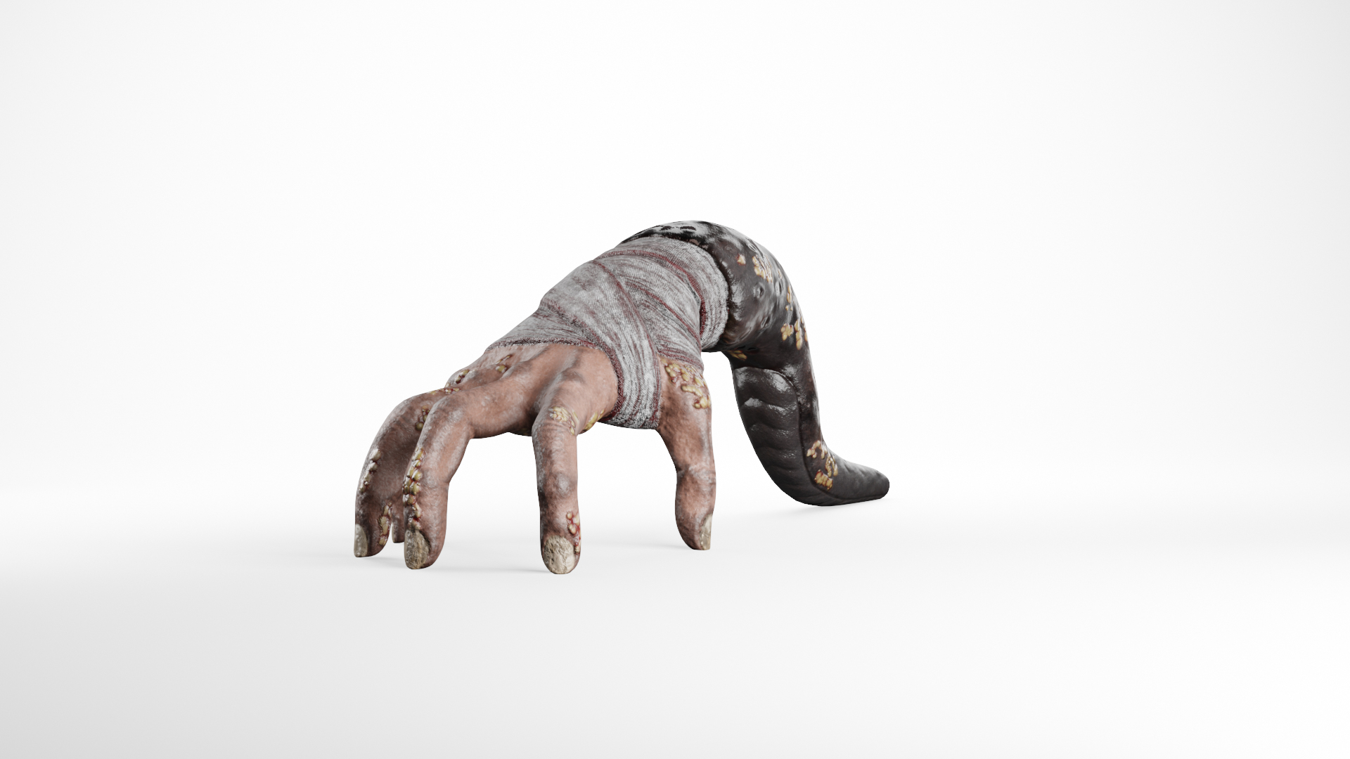 Hand Parasite 3D model - TurboSquid 1941419