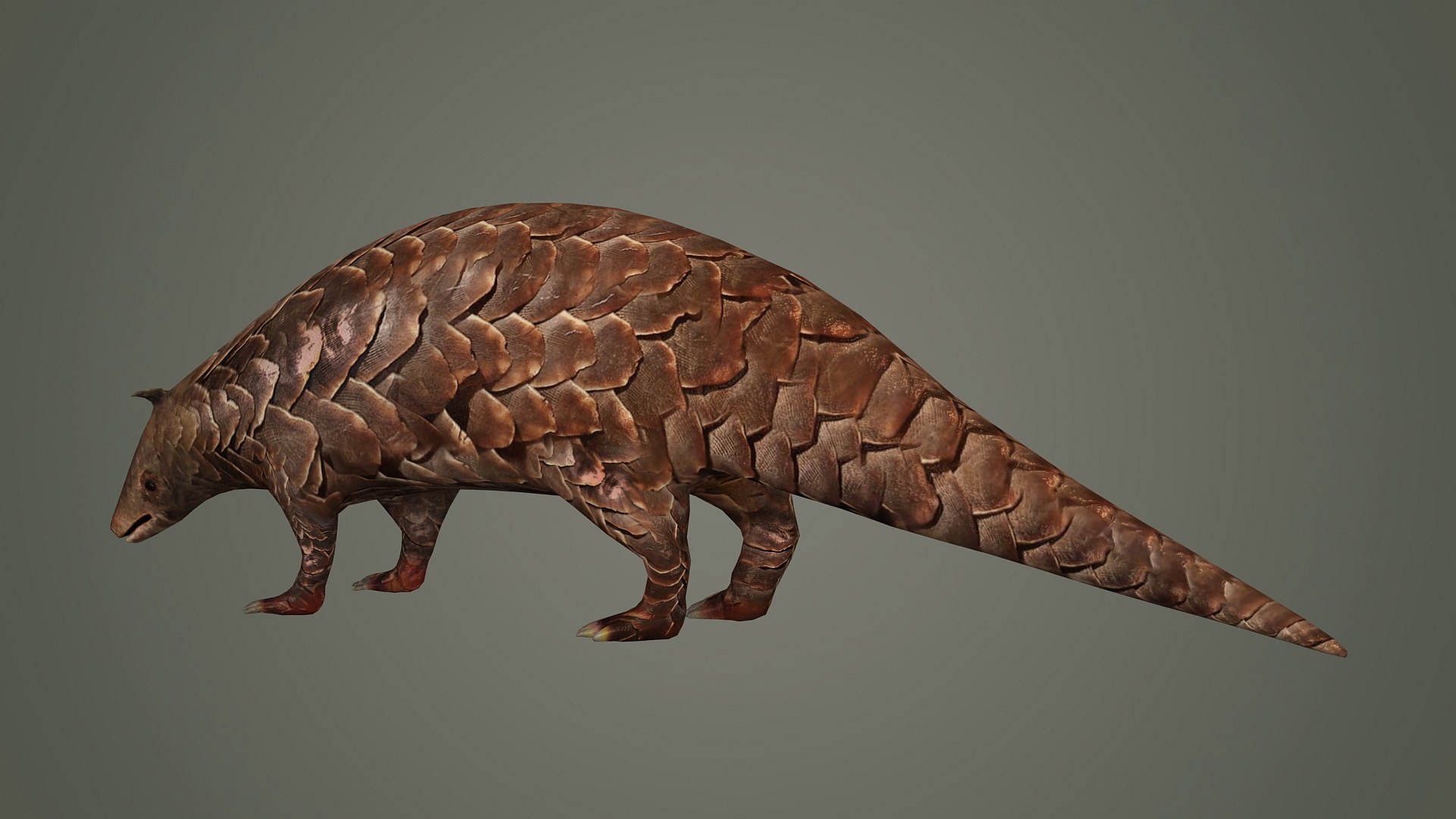 Pangolin Mammal African Maya Pangolin Asian Asia Animal 3D Model ...