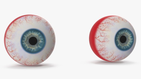 3D model Eyes - TurboSquid 1832284