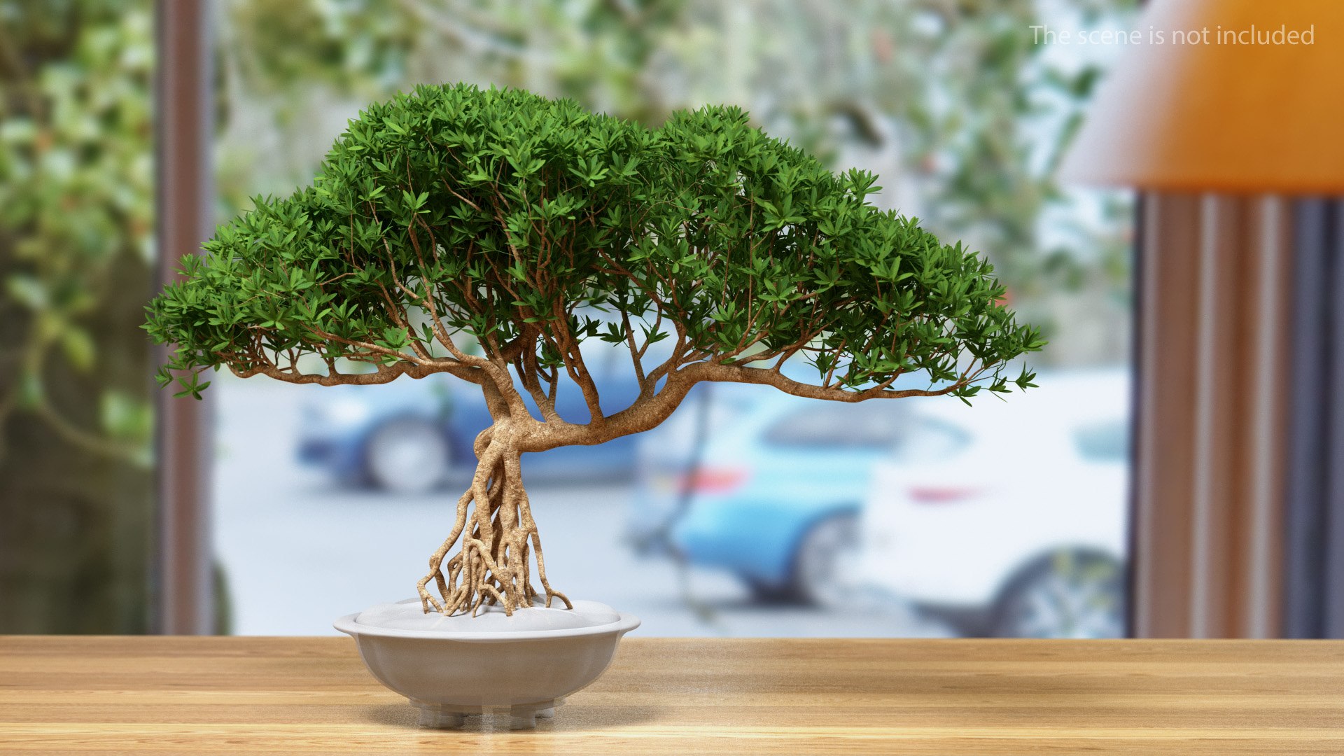 Miniature Bonsai Tree 3D Model - TurboSquid 1551366