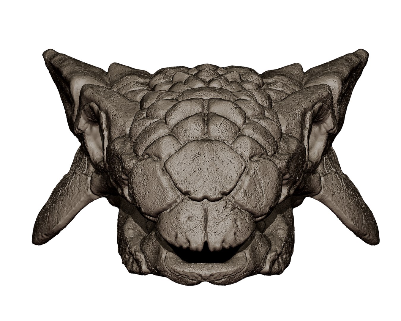 3D Ankylosaurus Skull 3D Print Model Model - TurboSquid 2162599