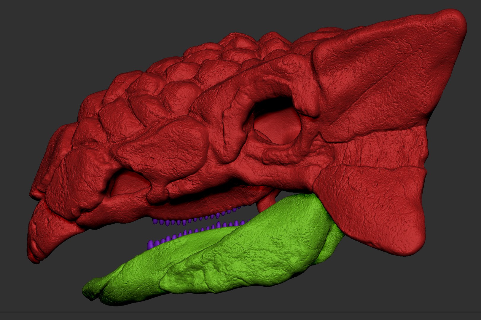 3D Ankylosaurus Skull 3D Print Model Model - TurboSquid 2162599