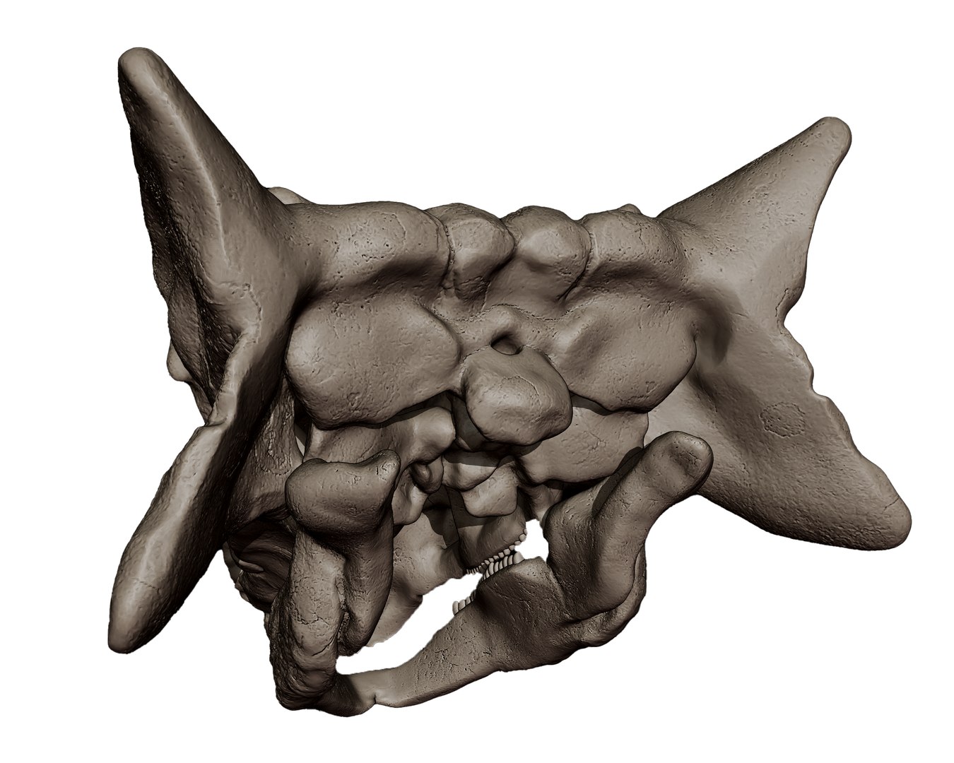 3D Ankylosaurus Skull 3D Print Model Model - TurboSquid 2162599