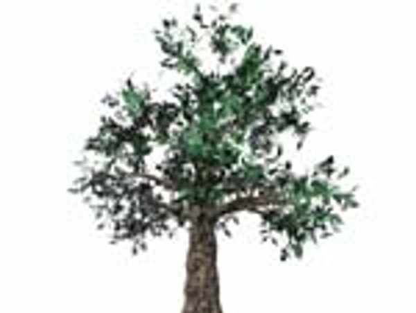 Free 3D Background Models | TurboSquid