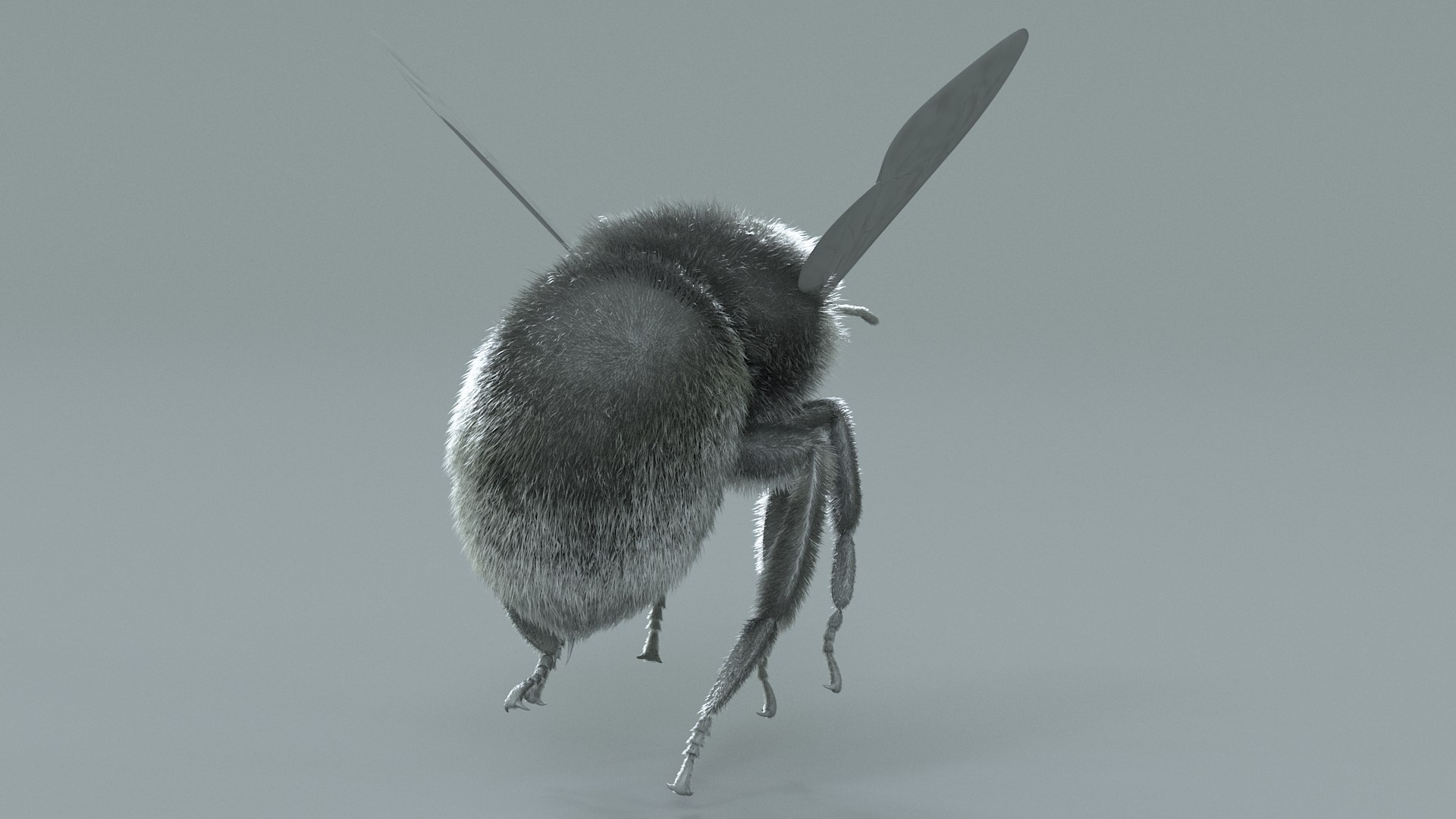Bumblebee Rigged Xgen 3D Model - TurboSquid 2242065