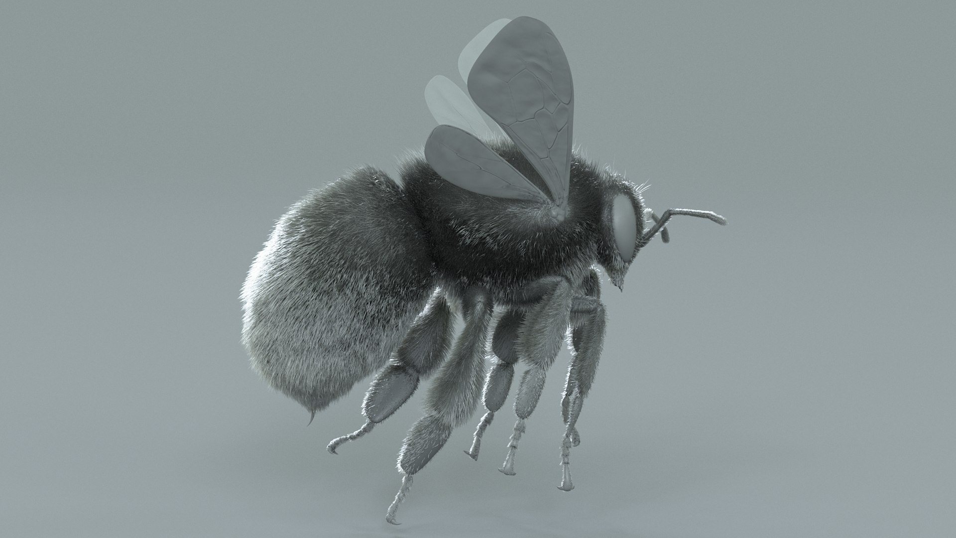 Bumblebee Rigged Xgen 3D Model - TurboSquid 2242065