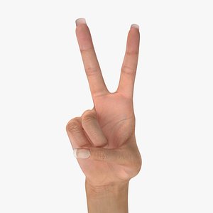 Hand 3D Models for Download | TurboSquid