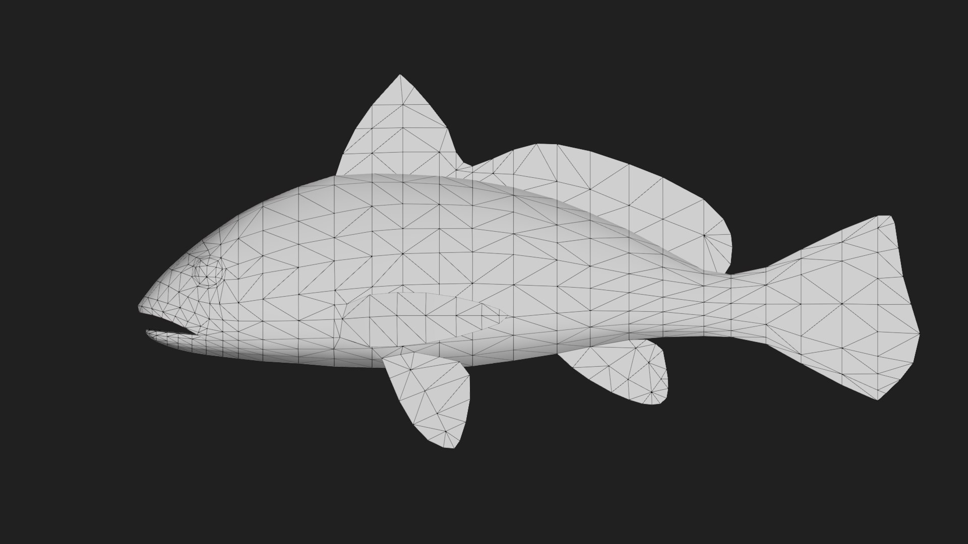 Bass Fish Model - TurboSquid 2122928