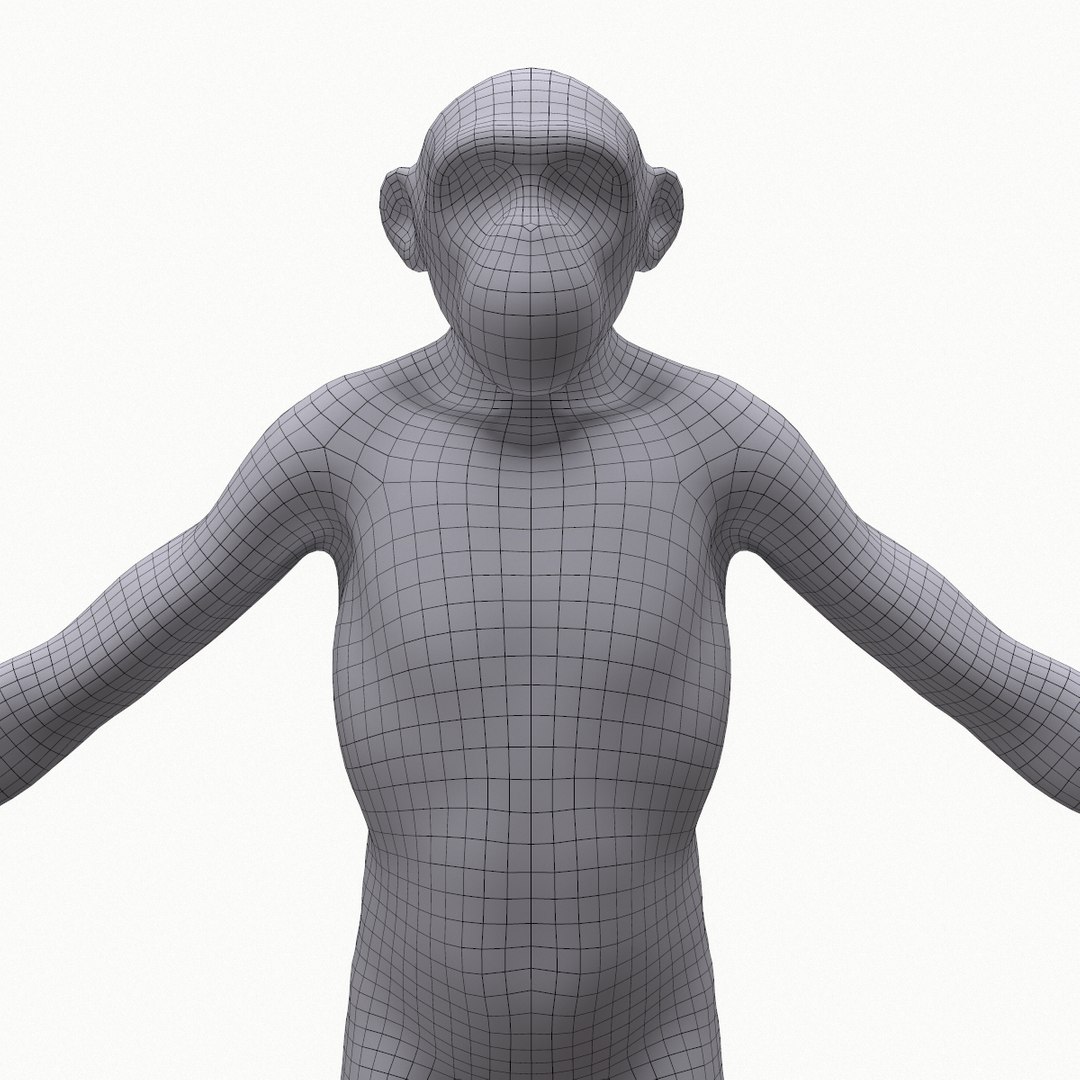 Base Mesh Primate 3D - TurboSquid 1403019