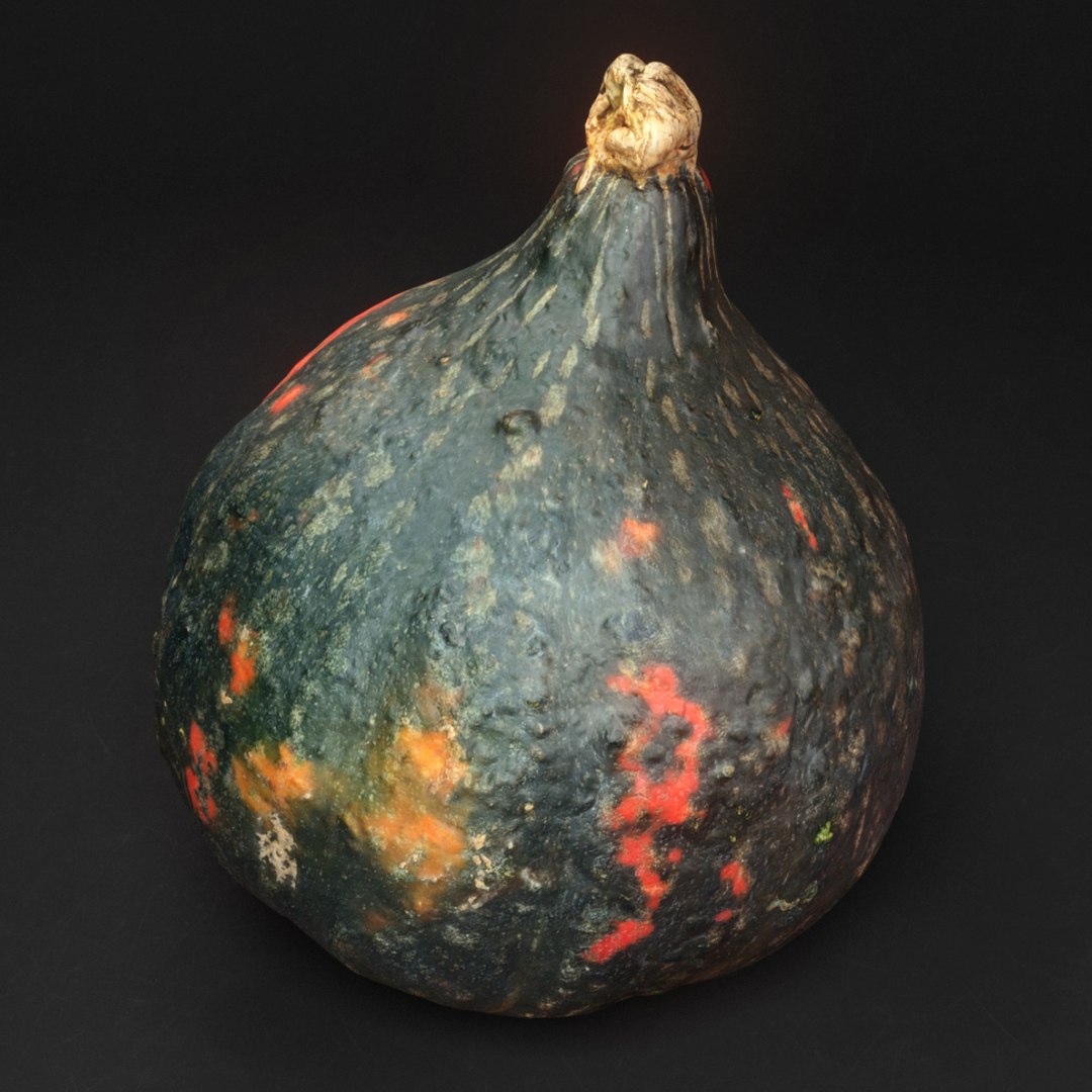 3D Exotic Pumpkin Game-ready Photoscan 01 Model - TurboSquid 1843291