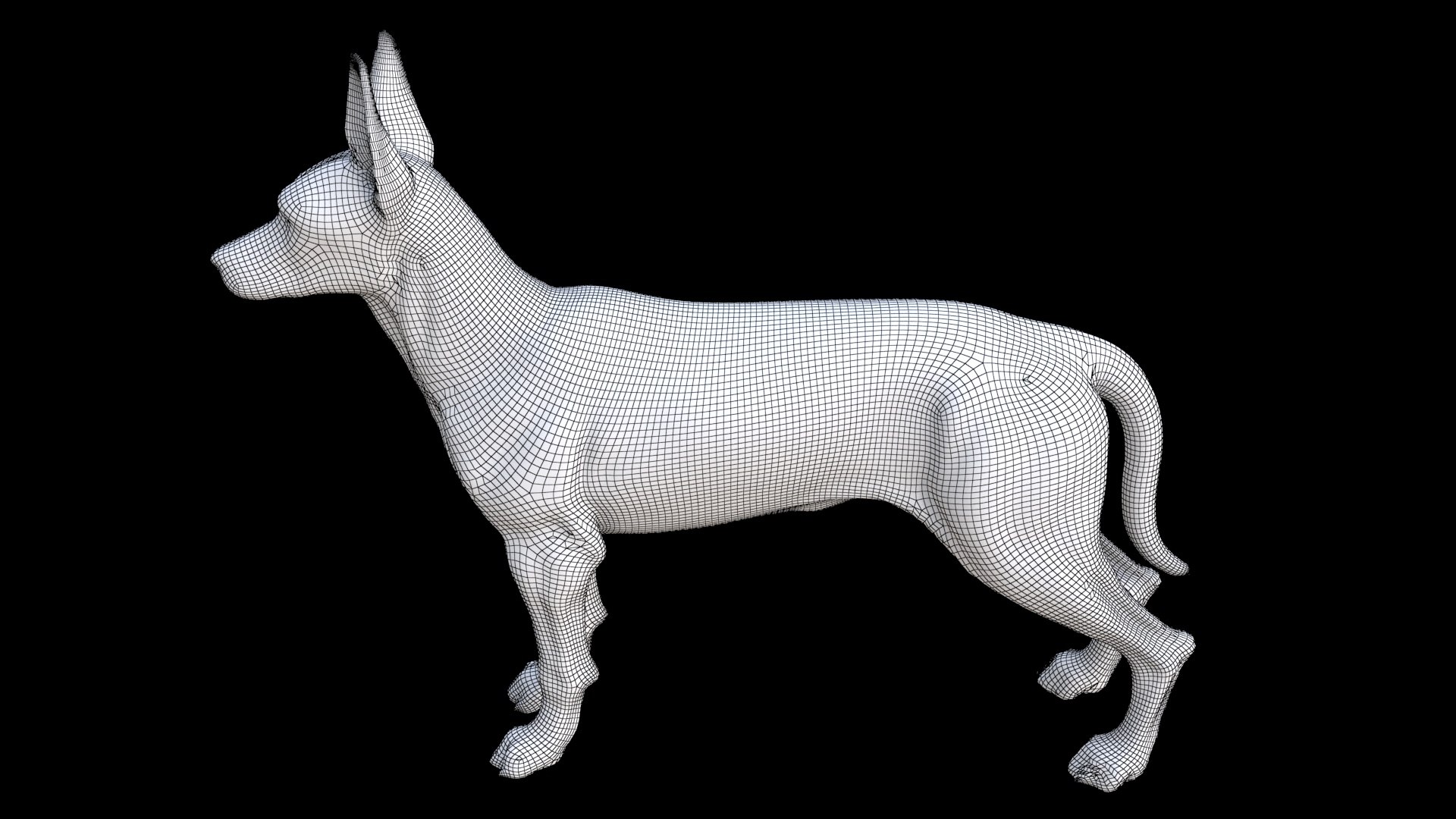 Doberman Pinscher 3D - TurboSquid 2333747