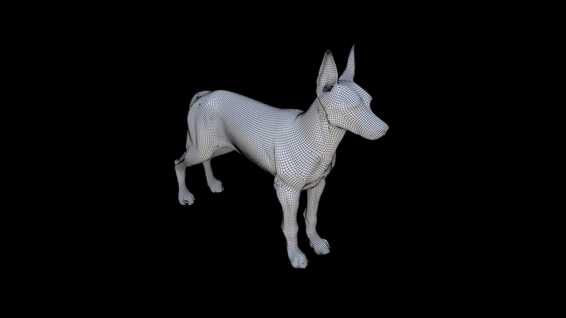 Doberman Pinscher 3D - TurboSquid 2333747