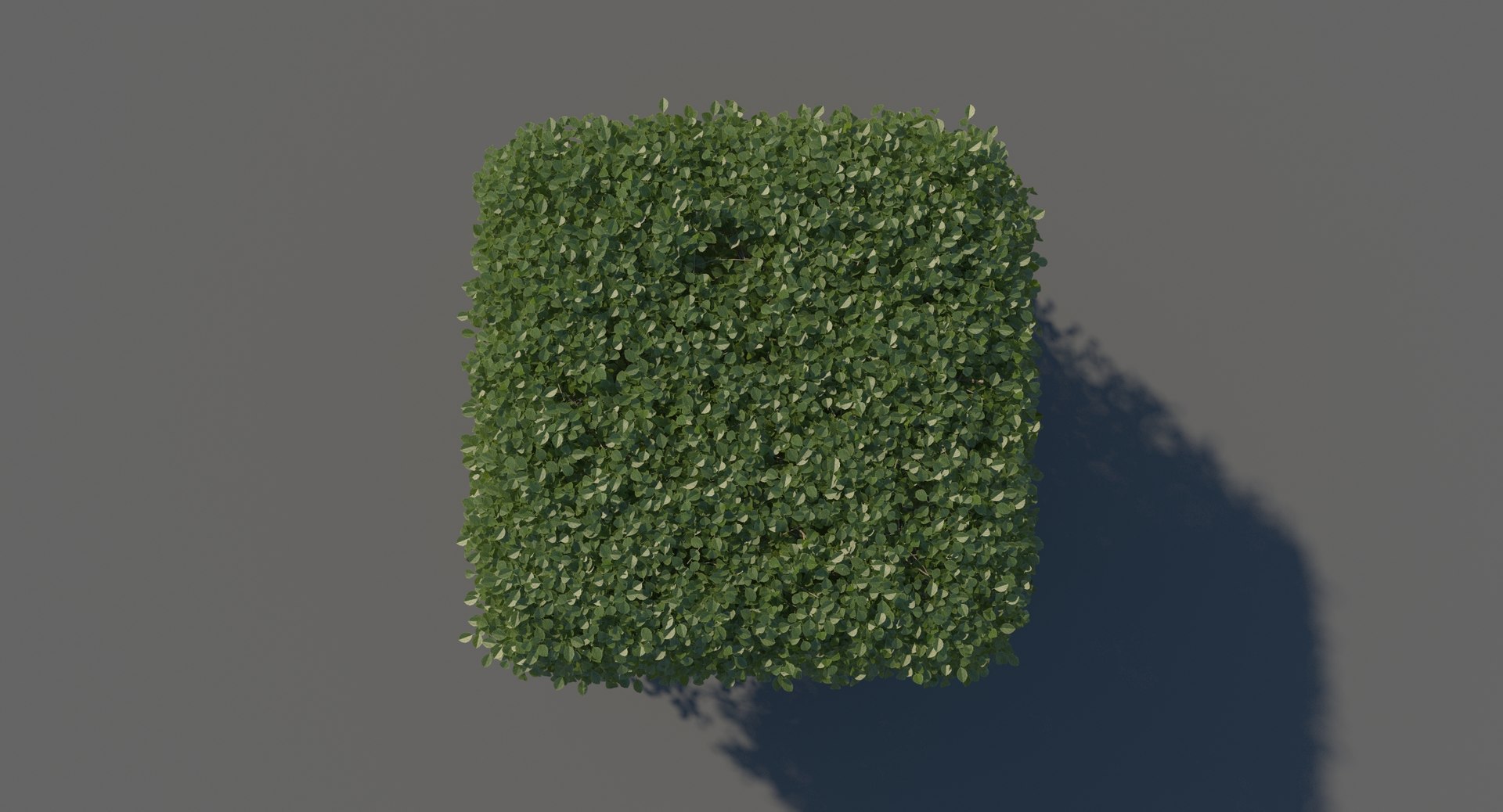 topiary 3d model