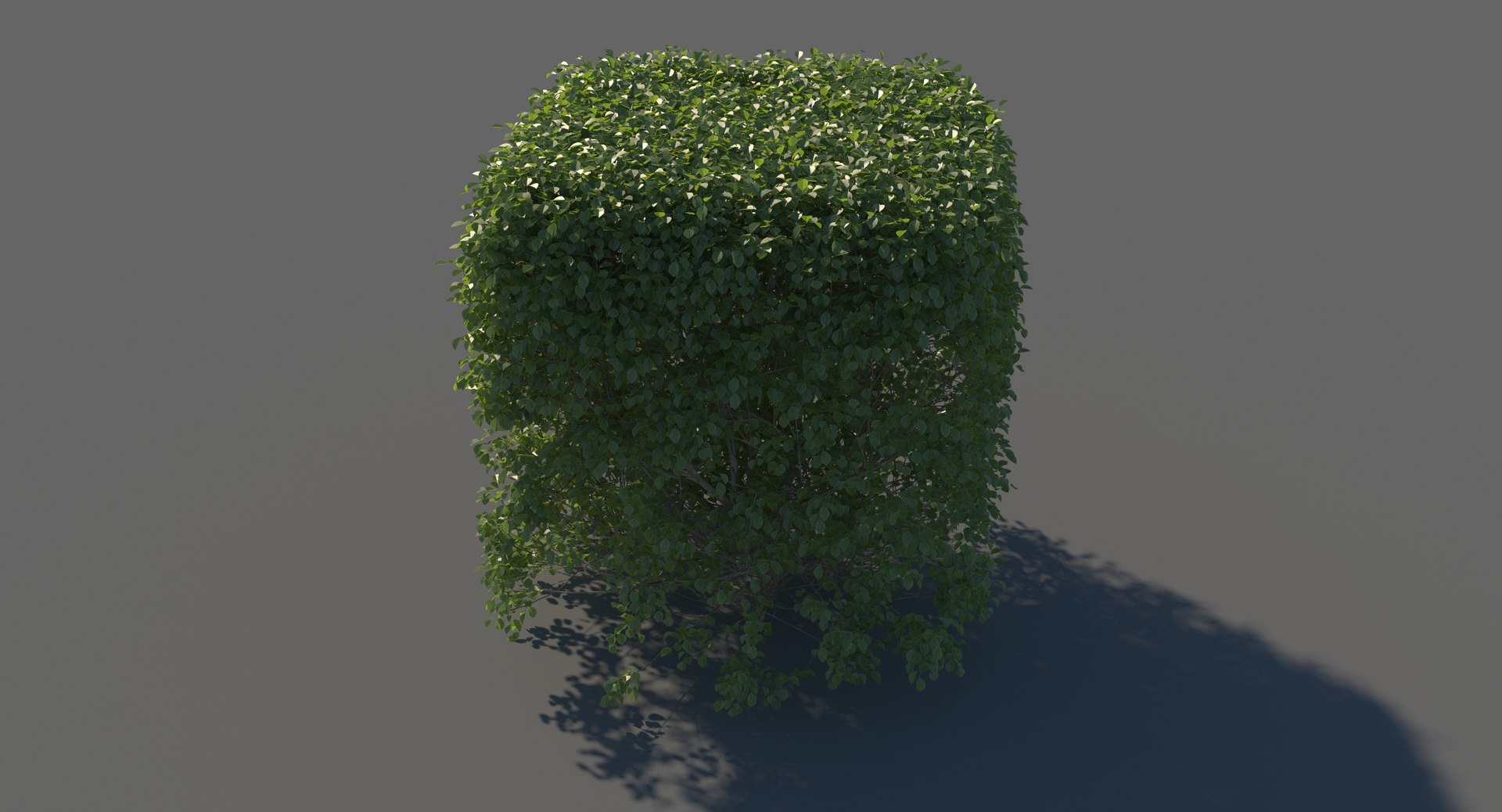 topiary 3d model
