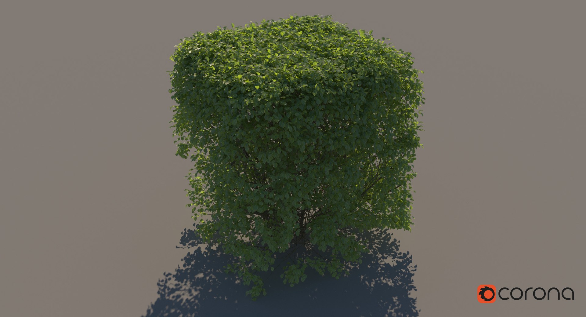 topiary 3d model