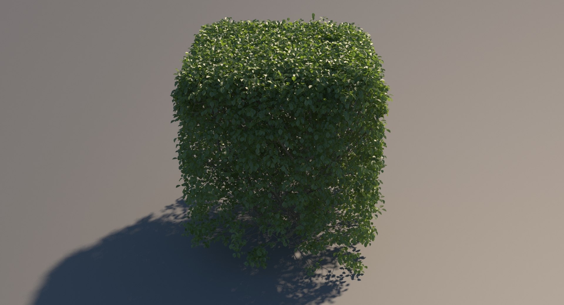 topiary 3d model