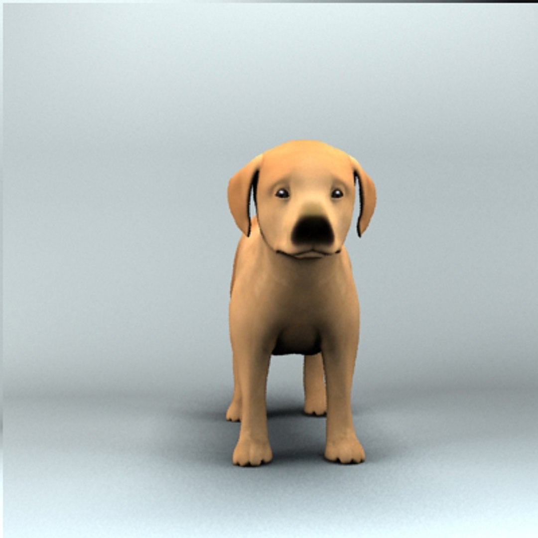 Dog Puppy 3d Model
