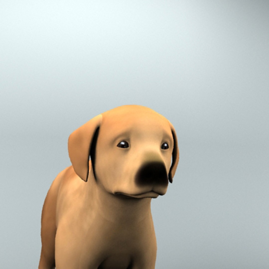 Dog Puppy 3d Model
