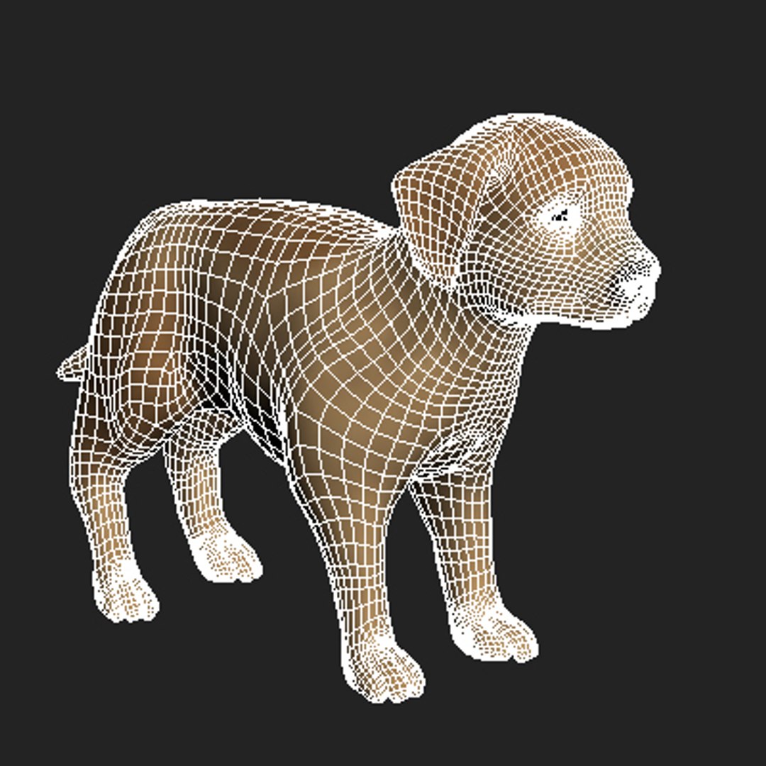 Dog Puppy 3d Model
