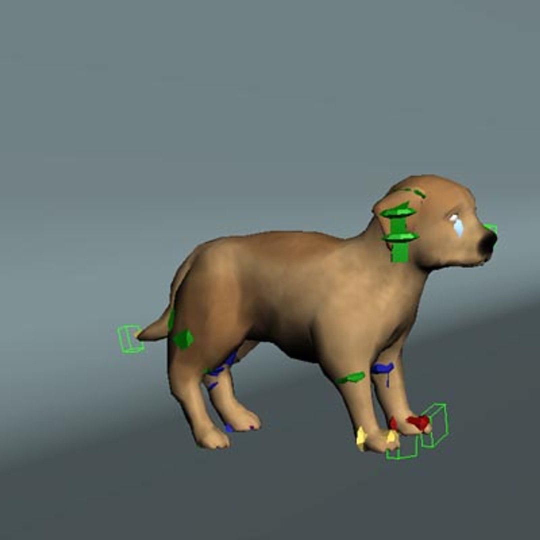 dog puppy 3d model