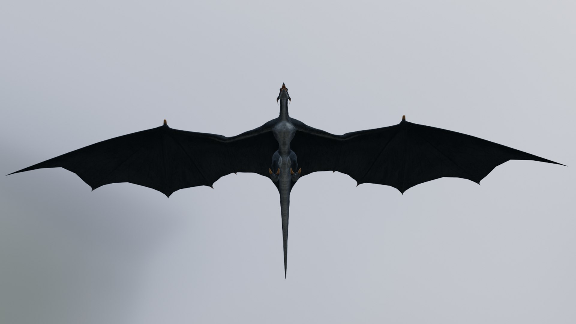 3D Wyvern Model - TurboSquid 2355965