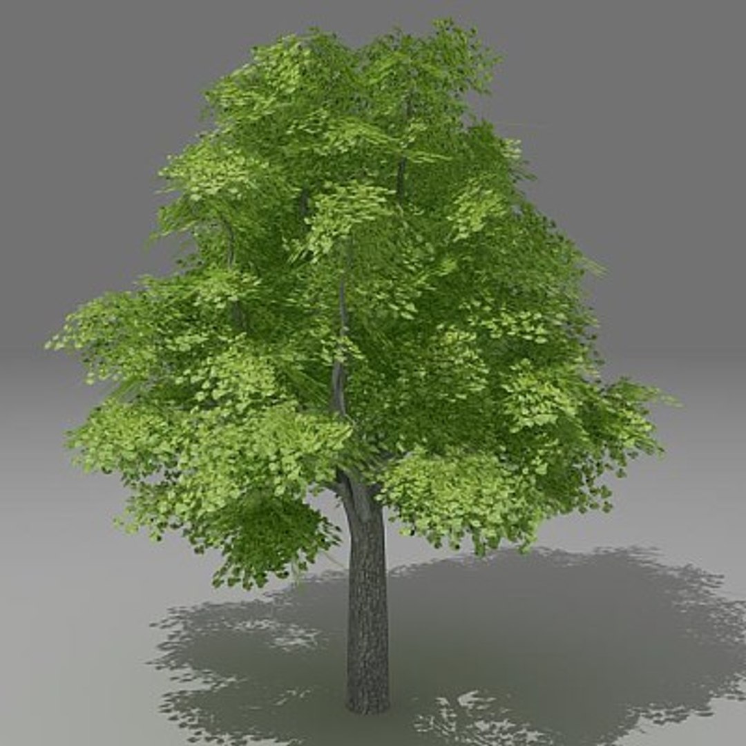 3d trees model