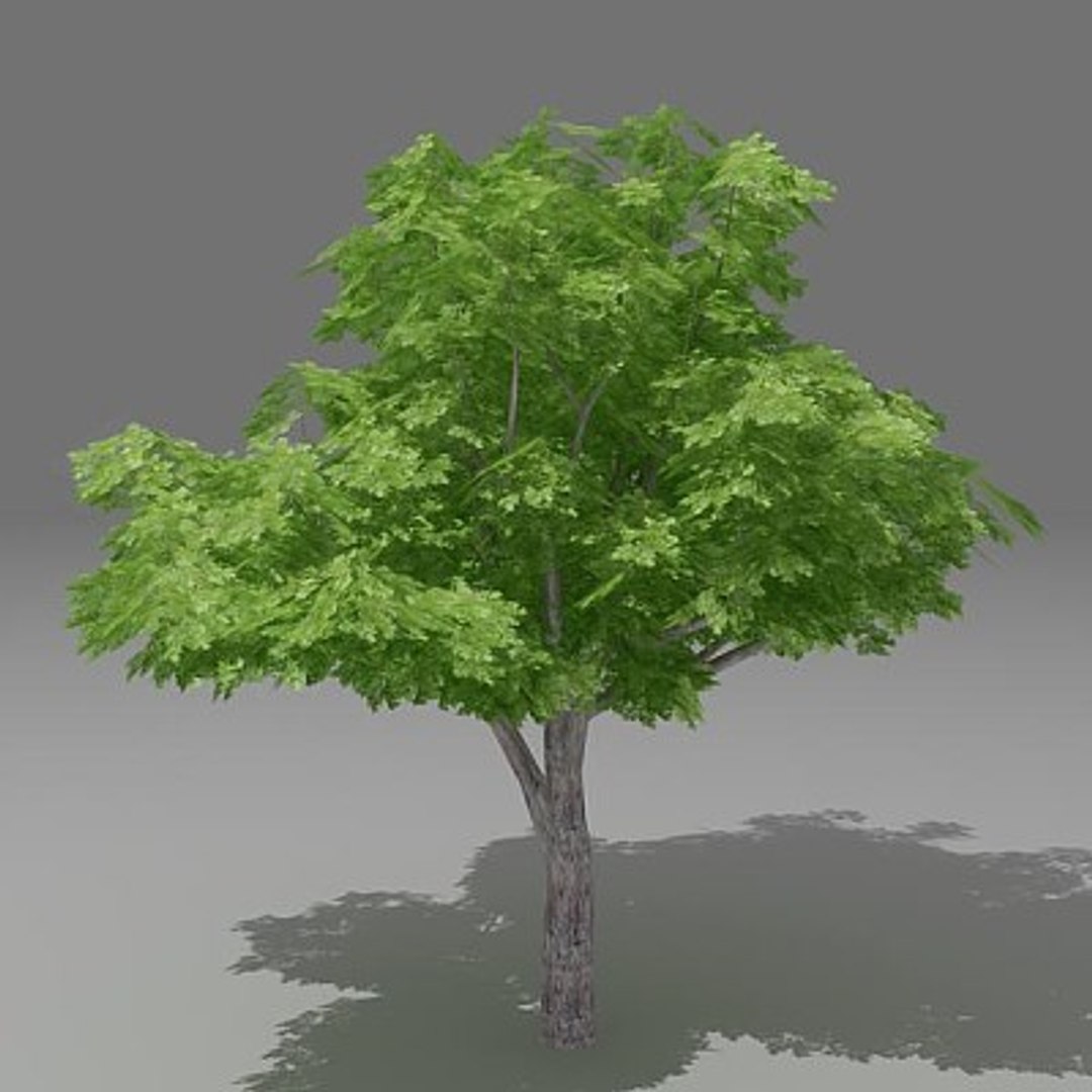 3d trees model