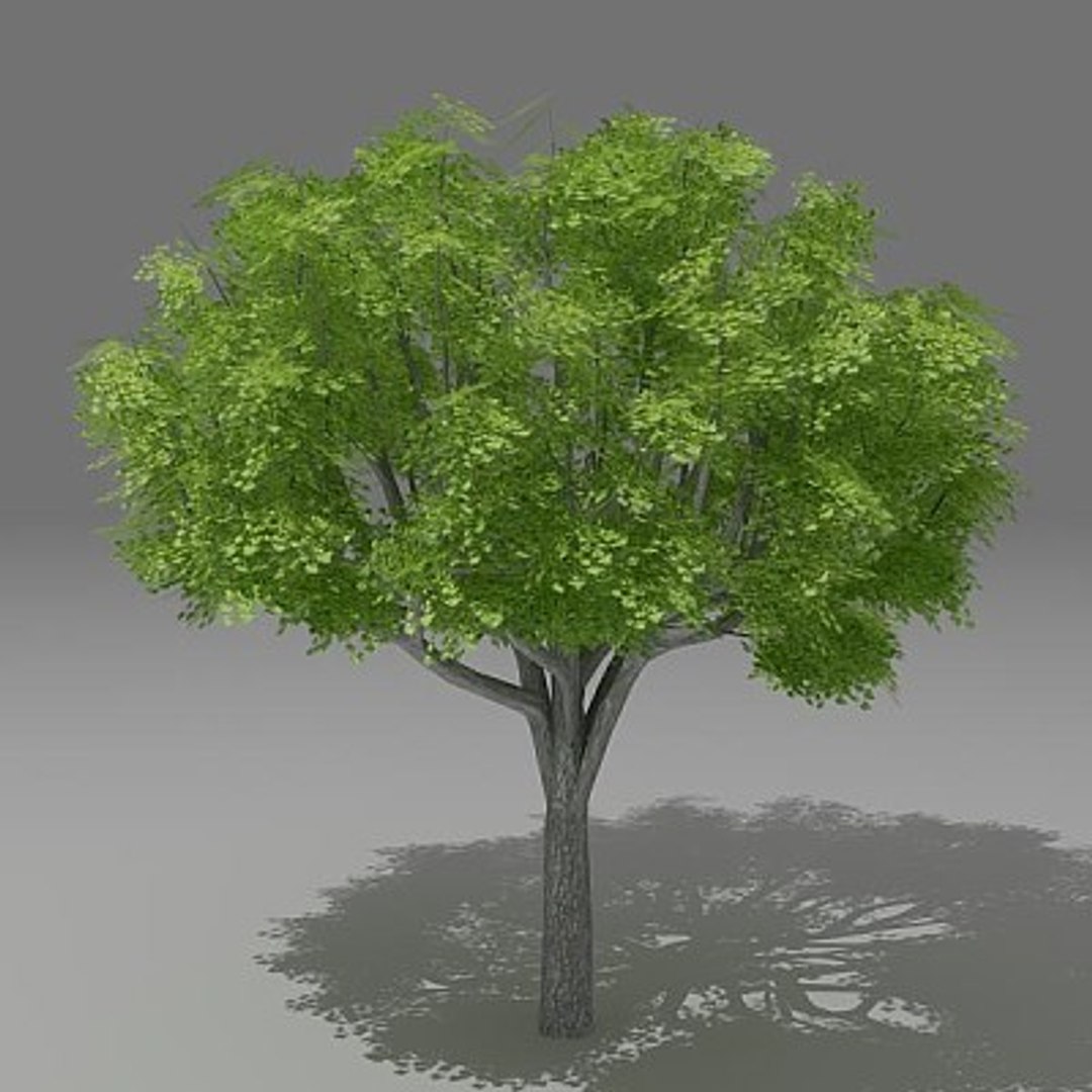 3d trees model