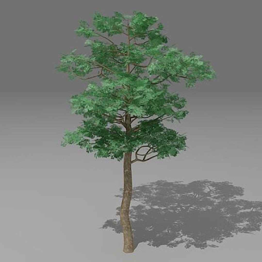 3d trees model