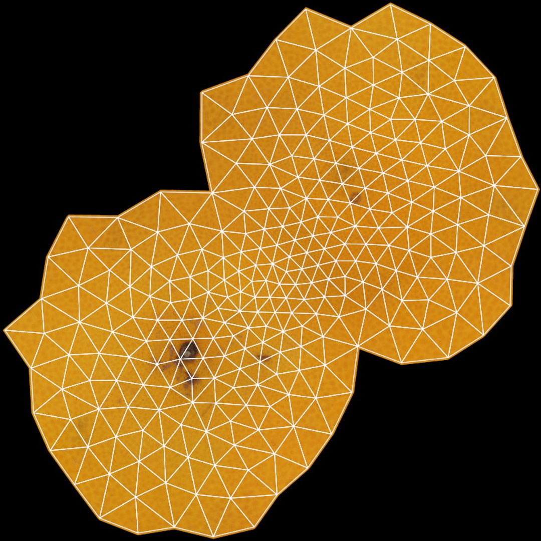 3D Satsuma 2 - TurboSquid 1854875