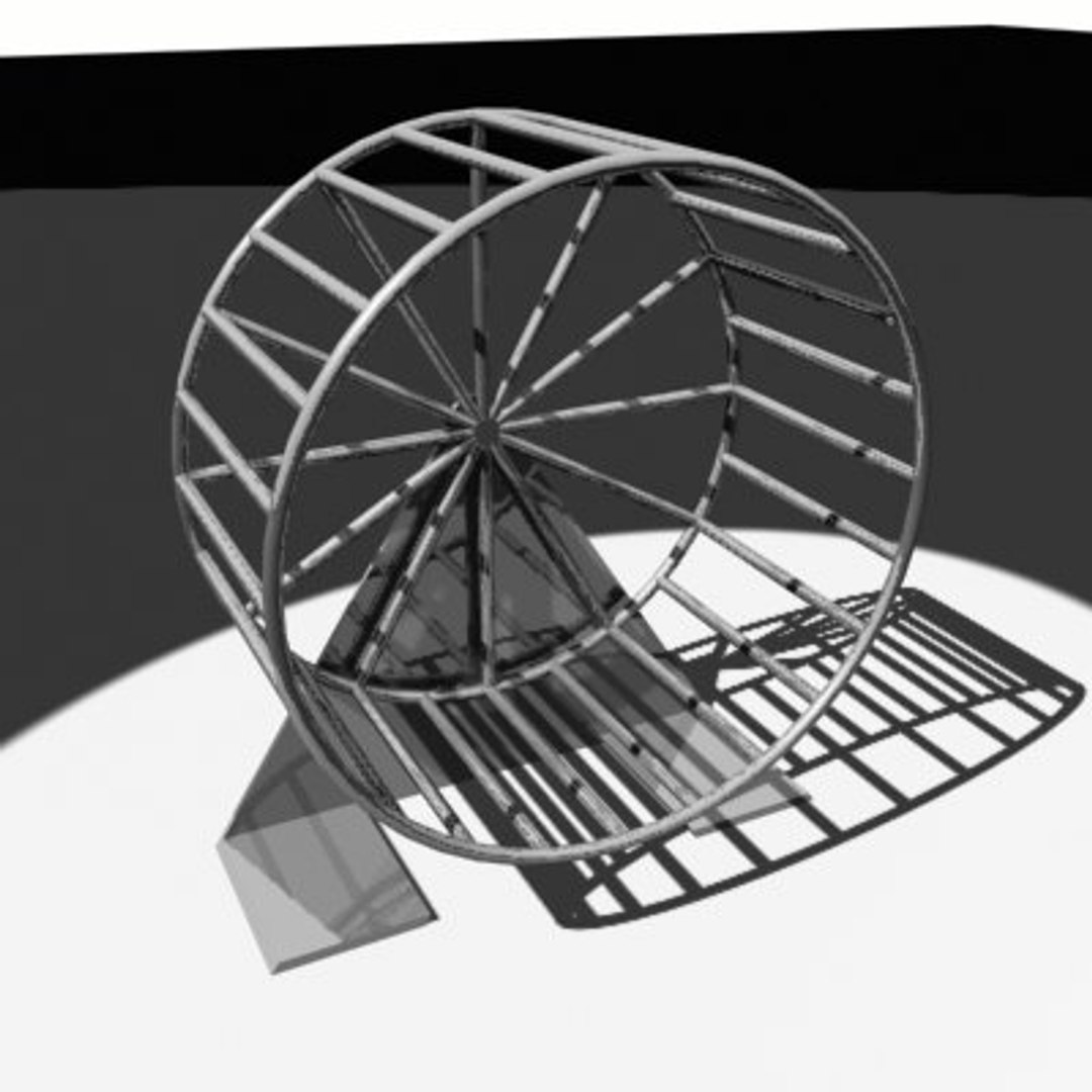 Hamster Wheel 3d Model