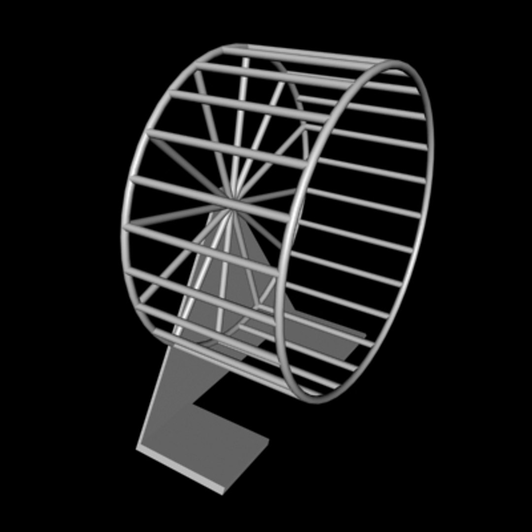 Hamster Wheel 3d Model