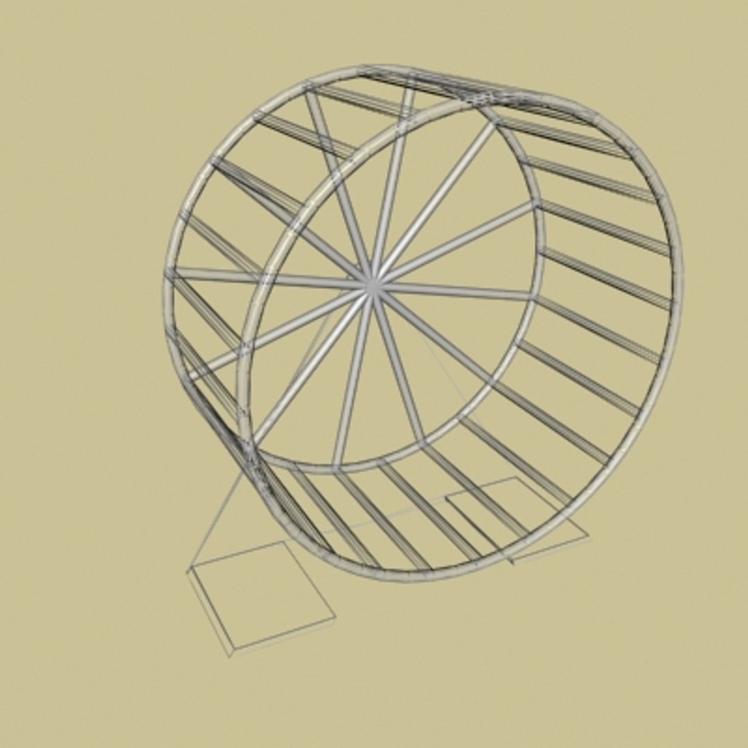 Hamster Wheel 3d Model
