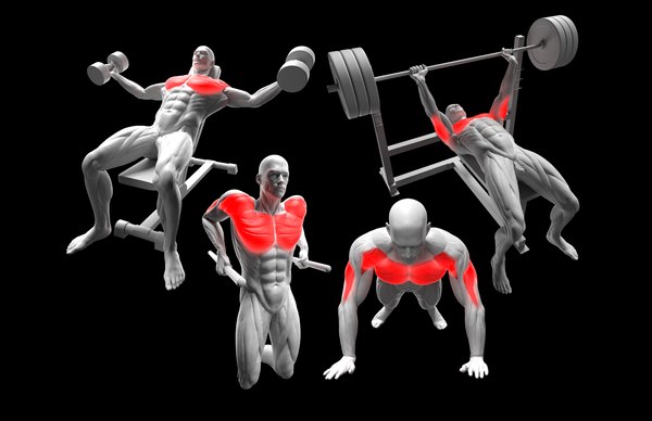 Free Blender Gym Models | TurboSquid
