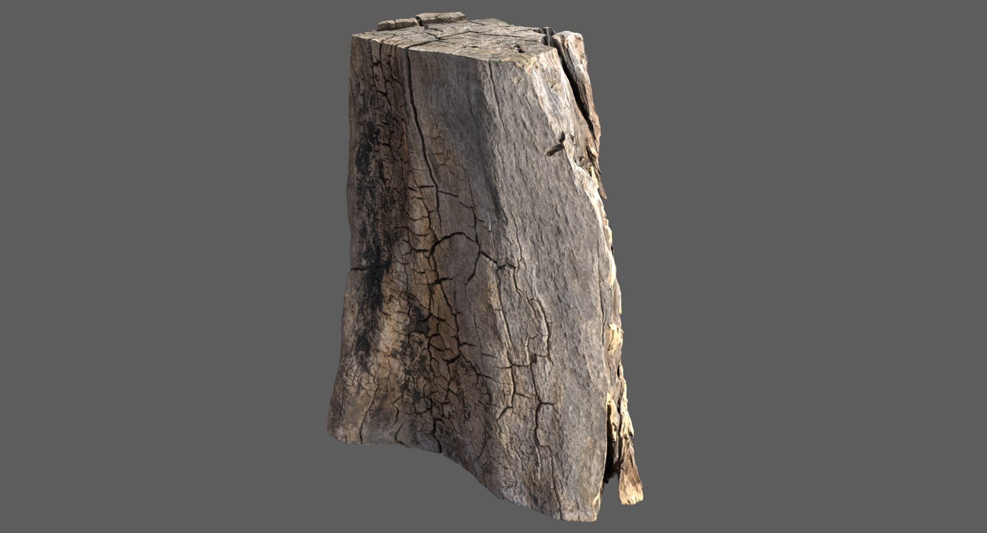 3D Tree Bark Scanned Model - TurboSquid 1419523