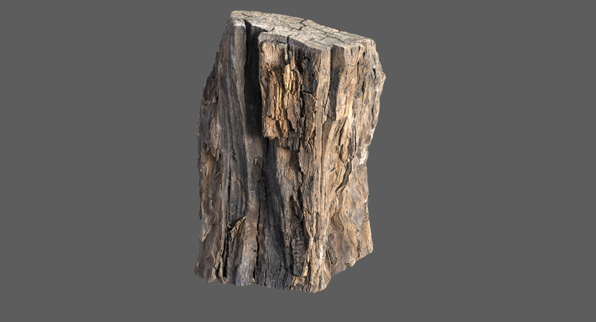 3D Tree Bark Scanned Model - TurboSquid 1419523